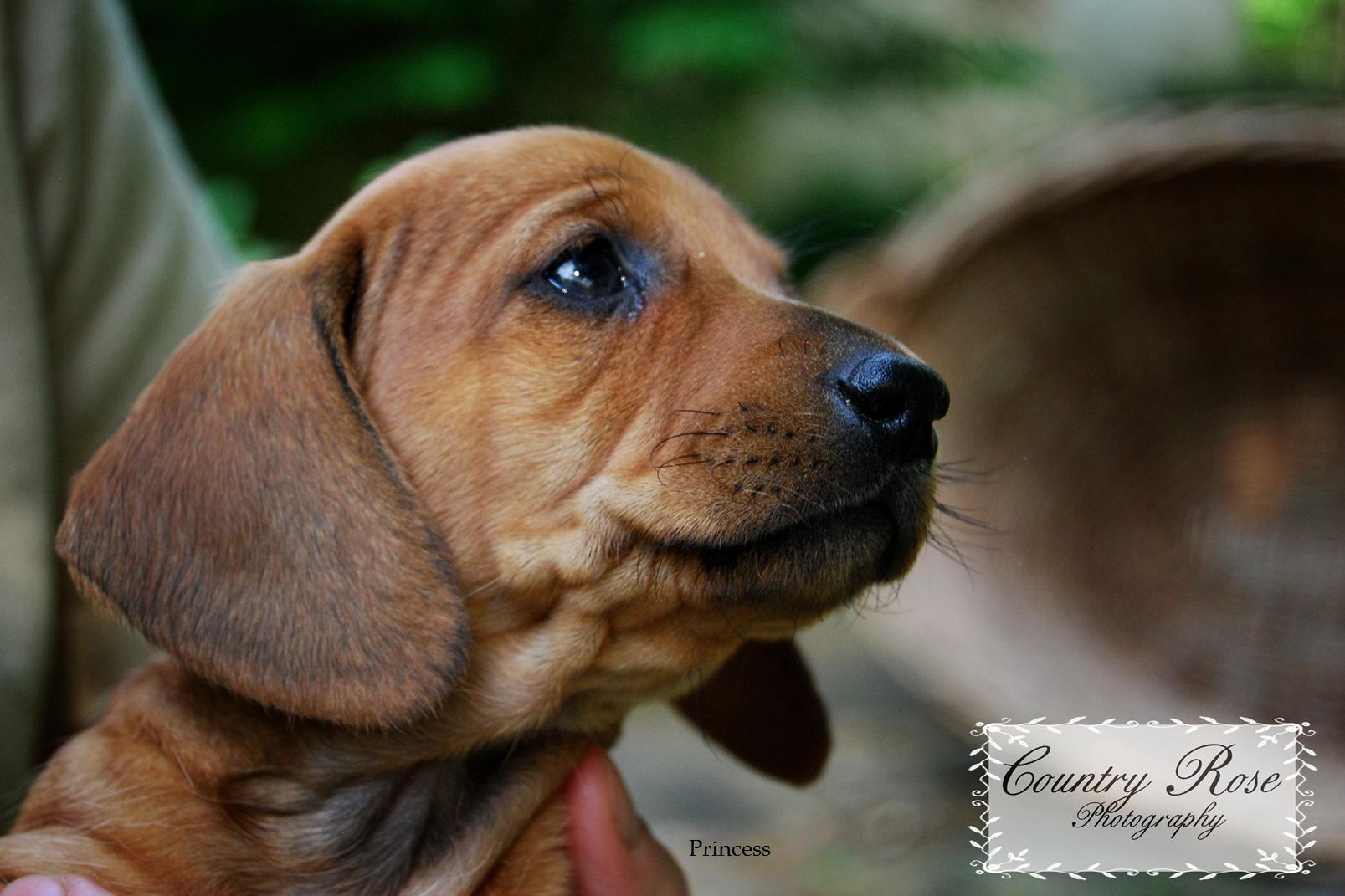 DSC_0597 | Graber Ranch